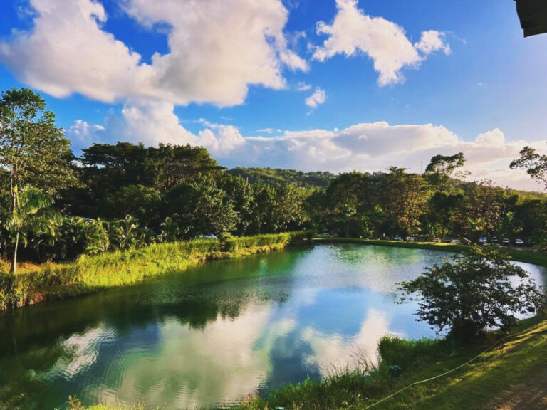 Bacoa: Puerto Rico’s Ultimate Farm-to-Table Dining in Juncos - Tasting ...