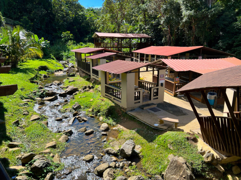 Lechonera Los Pinos and the Ultimate Lechon Experience - Tasting Puerto ...